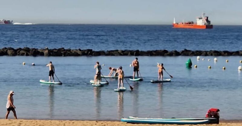 Santa Cruz de Tenerife: Las Teresitas Stand Up Paddle Course - An In-Depth Look at the Las Teresitas Stand Up Paddle Course