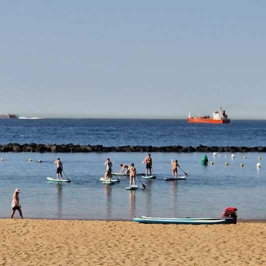 Santa Cruz de Tenerife: Las Teresitas Stand Up Paddle Course - Who Should Book This Experience?