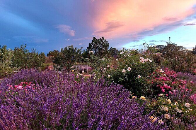 Santa Fe Botanical Garden General Admission Ticket - An In-Depth Look at Santa Fe Botanical Garden