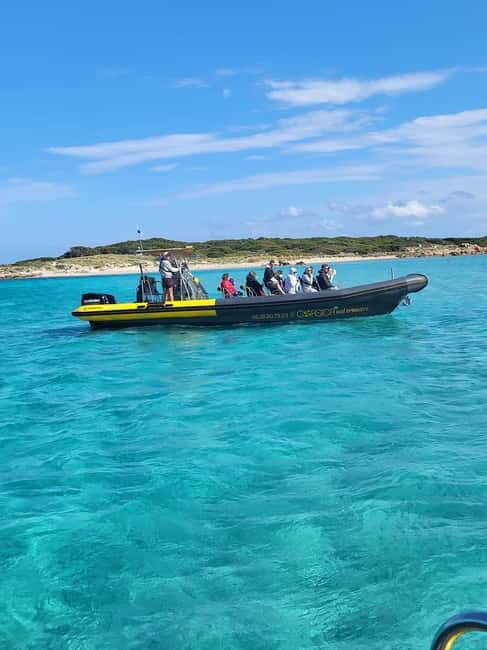 Santa-Giulia: Half-day trip, Lavezzi Islands and Bonifacio cliffs - Who is this tour best for?  