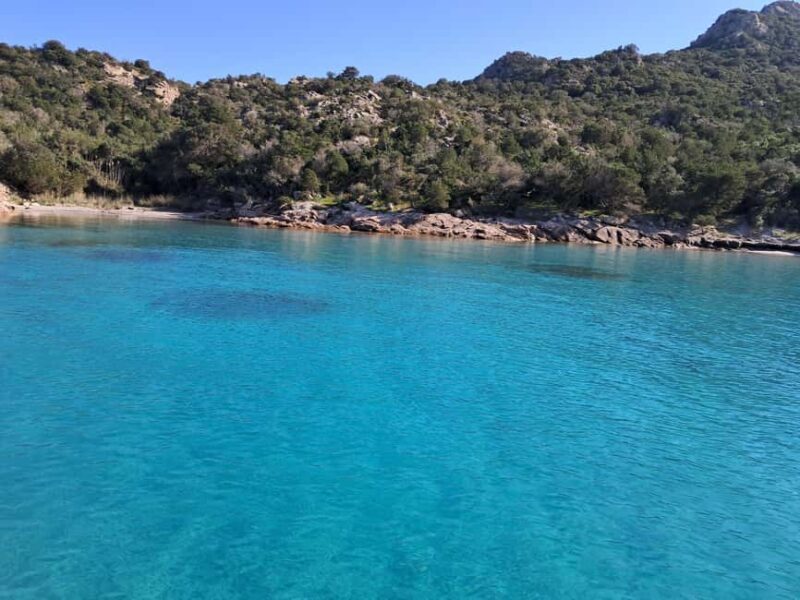 Santa-Giulia: Half-day trip to the Lavezzi Islands - Pricing and Value