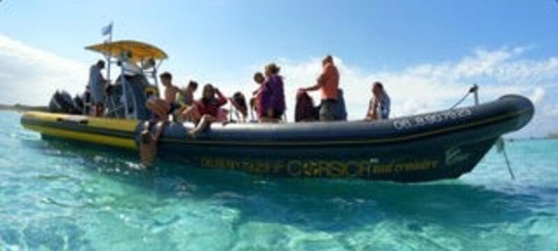 Santa Giulia : Sunset Cruise & Apéritif - The Experience: What to Expect on the Santa Giulia Sunset Cruise & Apéritif