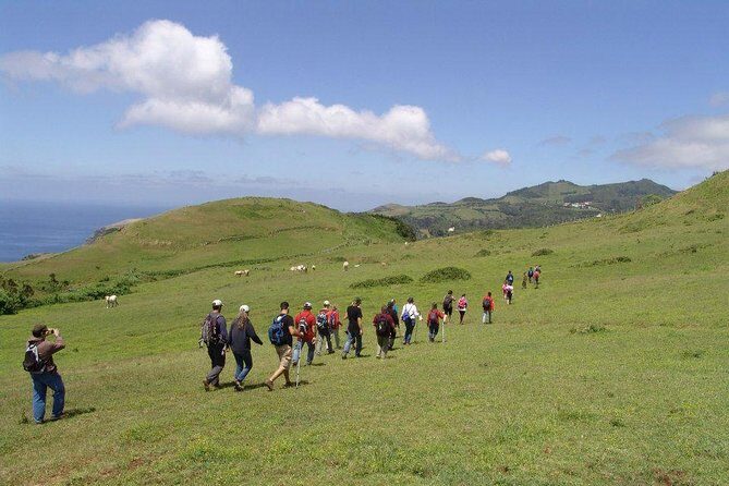 Santa Maria - Walking Tour Guide - Why Choose This Tour?