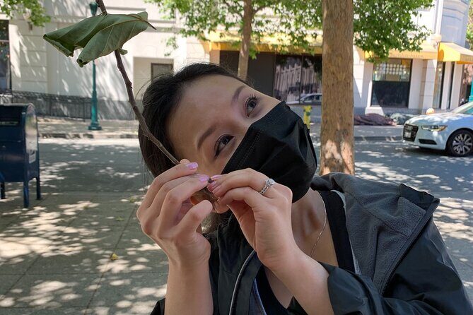 Santa Monica Scavenger Hunt - Santa Monica Scavenger Hunt: A Fun-Filled Way to Explore