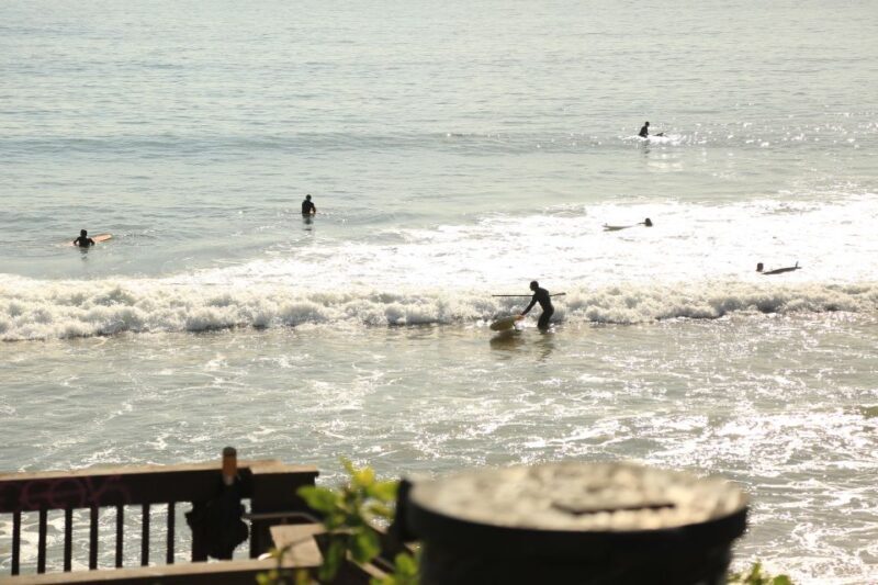 Santa Monica: Surfing Day Trip with Lunch - Who Should Consider This Tour?