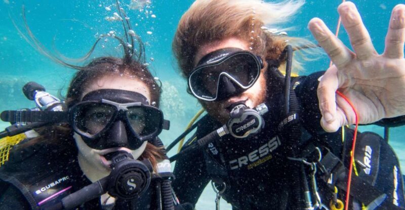 Santa Ponsa: Try Scuba Diving in a Marine Reserve - What to Expect and Prepare For