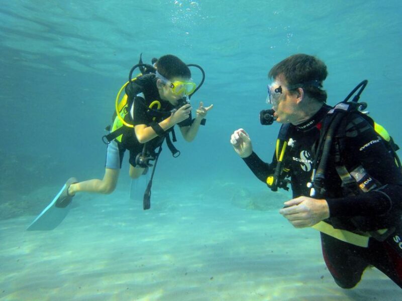 Santa Ponsa: Try Scuba Diving in a Marine Reserve - Final Thoughts: Is This Experience Right for You?