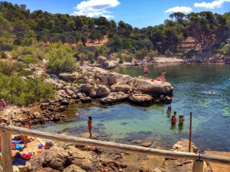 Santa Ponta/Peguera: Dragonera Island Cruise with Swim Stop - Final Thoughts on the Dragonera Island Cruise