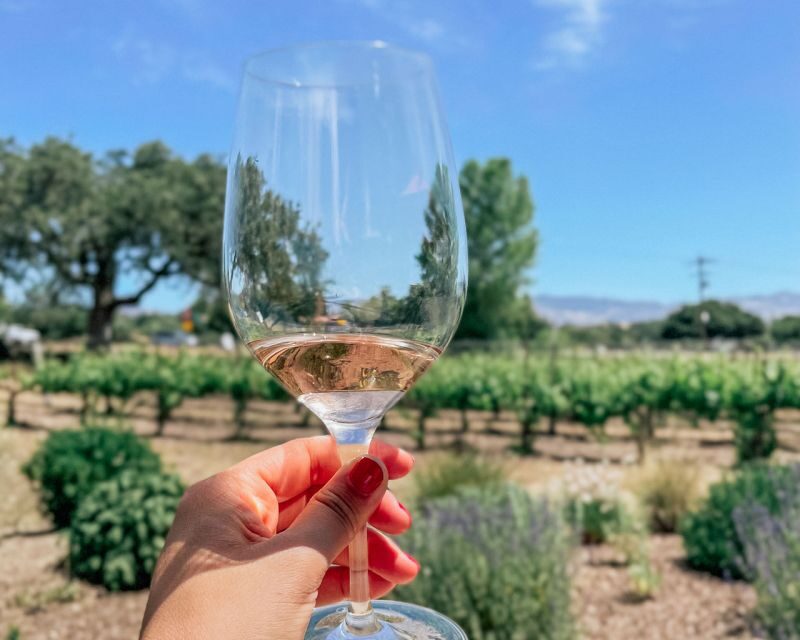 Santa Ynez: Wine Country Tour - What We Love About This Tour