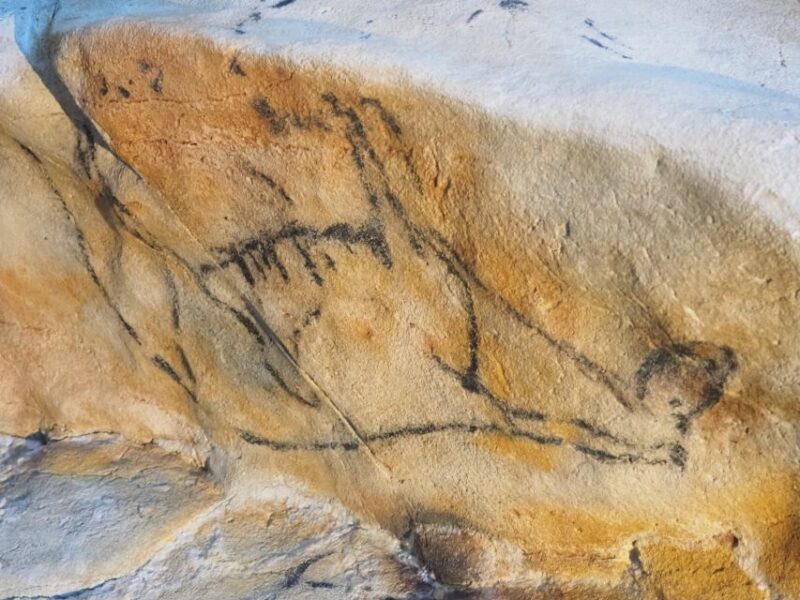 Santander: El Castillo Caves & Paleolithic Art Tour - An Inside Look at the El Castillo Caves & Paleolithic Art Tour  