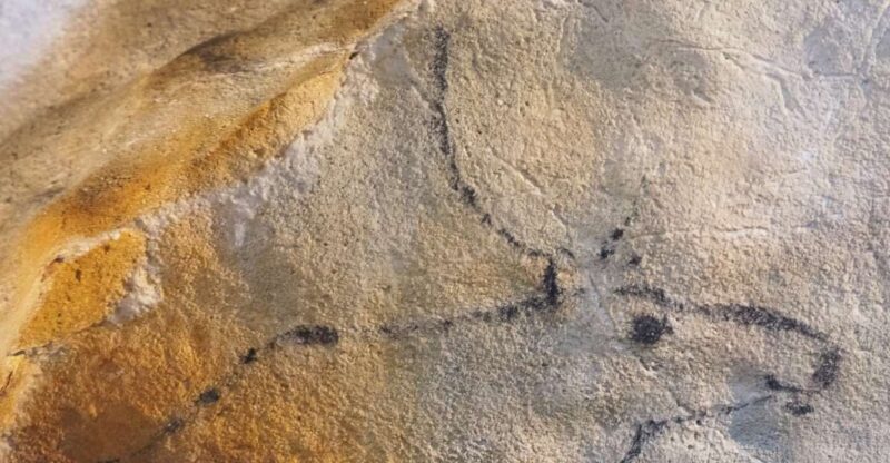 Santander: El Castillo Caves & Paleolithic Art Tour - Who Will Love This Tour?  