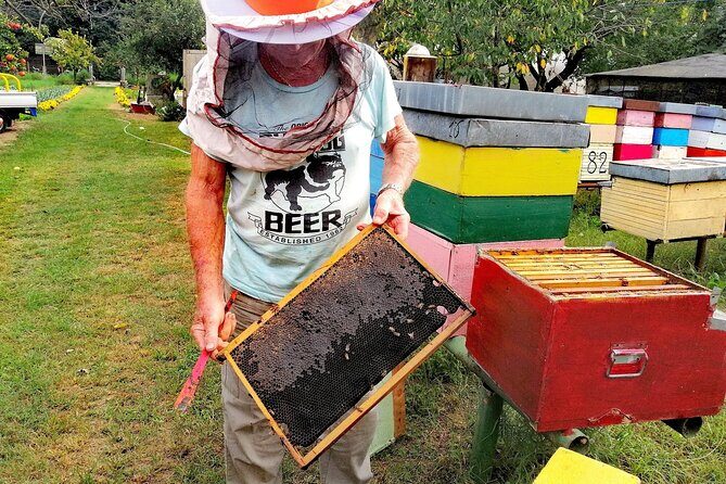 SantErasmo Bike Tour in Venices Green Island - Authentic Experiences from Visitors