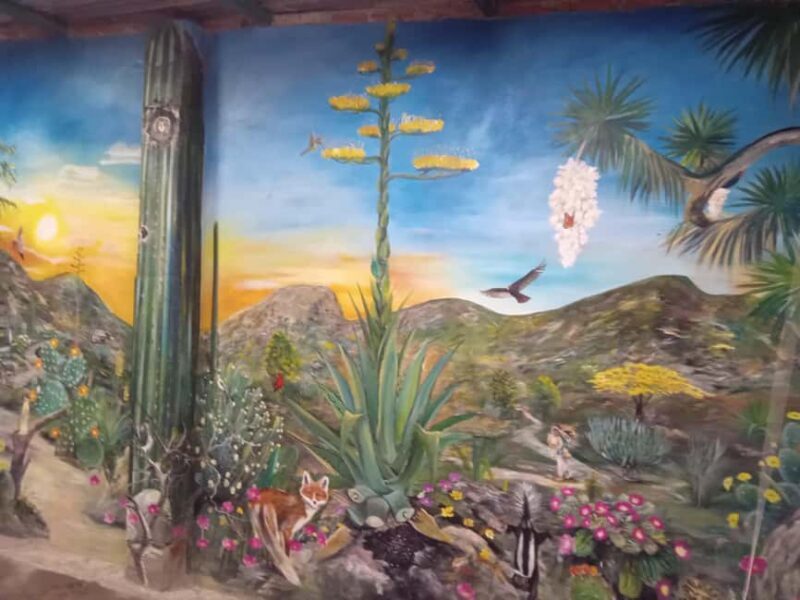 Santiago de Anaya, Hidalgo: Food tour. Experience among stoves. - Exploring the Hidalgo Food Tour Experience