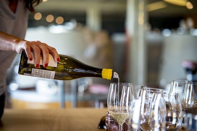 Santiago de Compostela: Cheese and Wine Tasting Experience - A Deep Dive into the Cheese and Wine Tasting Experience