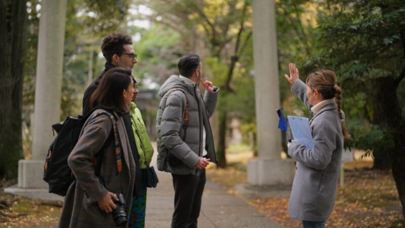 Santiago: Historic Walking Tour and Highlights - Key Points