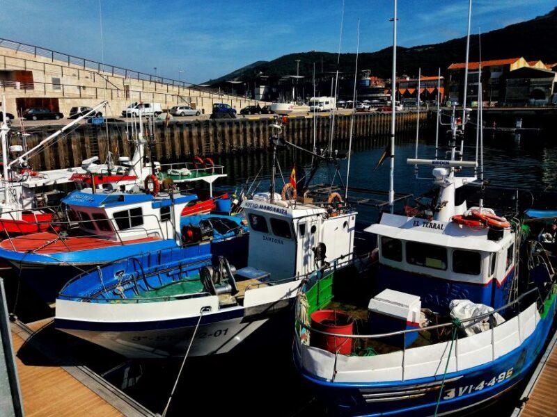Santoña and Anchovy factory tour from Santander- small group - Discovering Santoña: An Authentic Coastal Experience