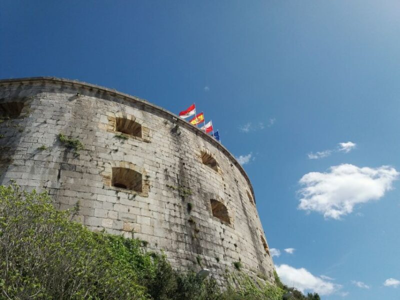 Santoña and Anchovy factory tour from Santander- small group - Points to Consider Before Booking