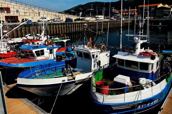 Santoña and Anchovy Factory tour from Santander - small groups - Final Thoughts  