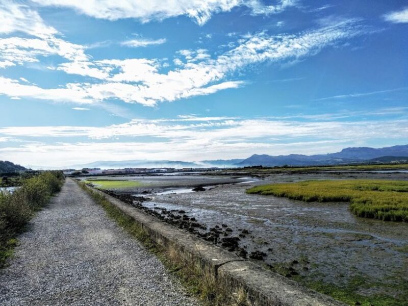 Santona: Canning Factory and the Marshes Tour with Tasting - Exploring the Santoña Tour: A Deep Dive