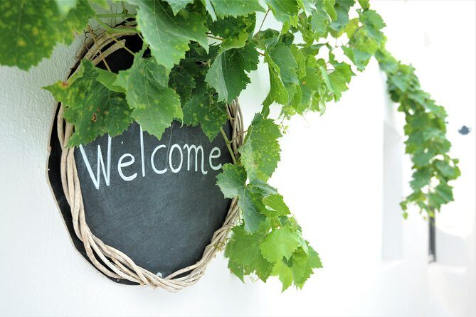 Santorini 3-Winery Tour with 12 Wine Tastings and Oia Sunset - Who Is This Tour Best For?