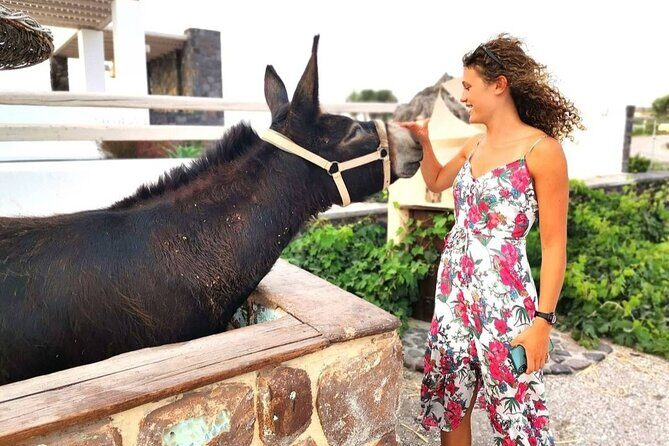 Santorini 4 hours Private Tour : Visit all the hotspots - Final Thoughts: Is This Tour Worth It?