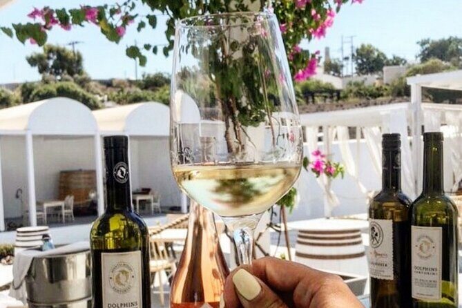 Santorini: 4hr Private Wine Tasting Tour - Who Will Love This Tour
