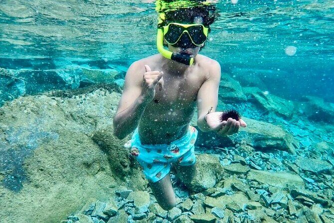 Santorini Caldera Day Traditional Cruise with Meal and Drinks - The Value of the Tour