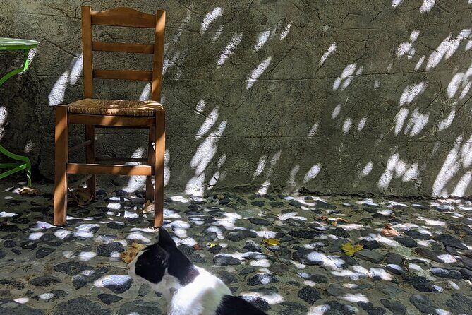 Santorini Classic Highlights and Sightseeing Private Tour - Who Is This Tour Best For?