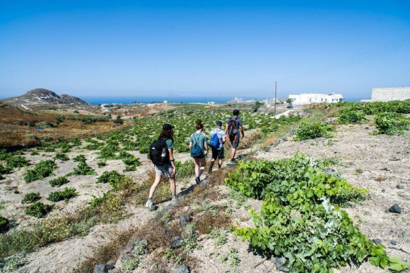 Santorini: Cooking Class and Easy Hike - FAQ