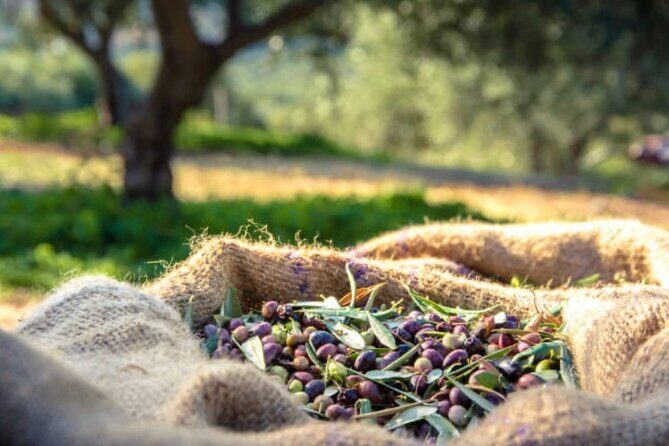 Santorini Deluxe Tour for Cruise Passengers - Is This Tour Worth the Price?