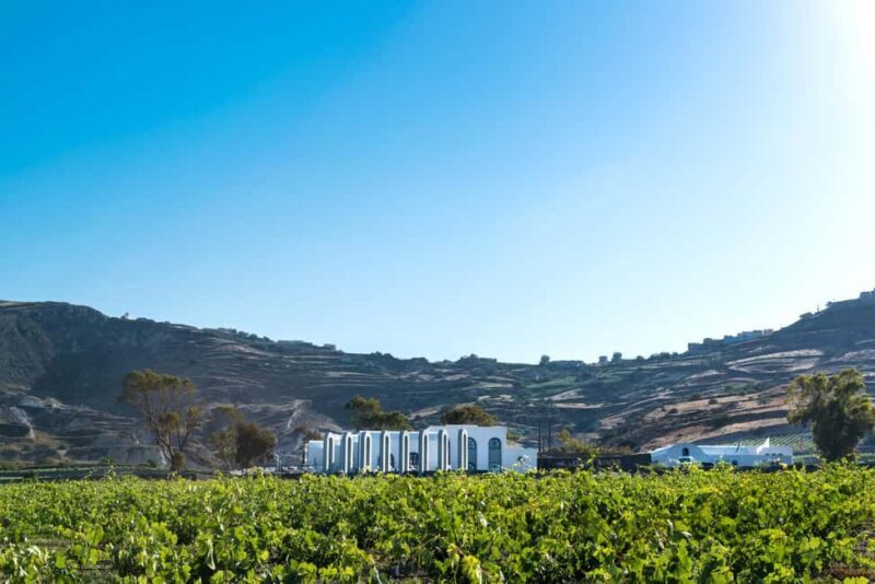 Santorini: Guided Wine Tour with Pickup and Snacks - The Experience for Different Travelers