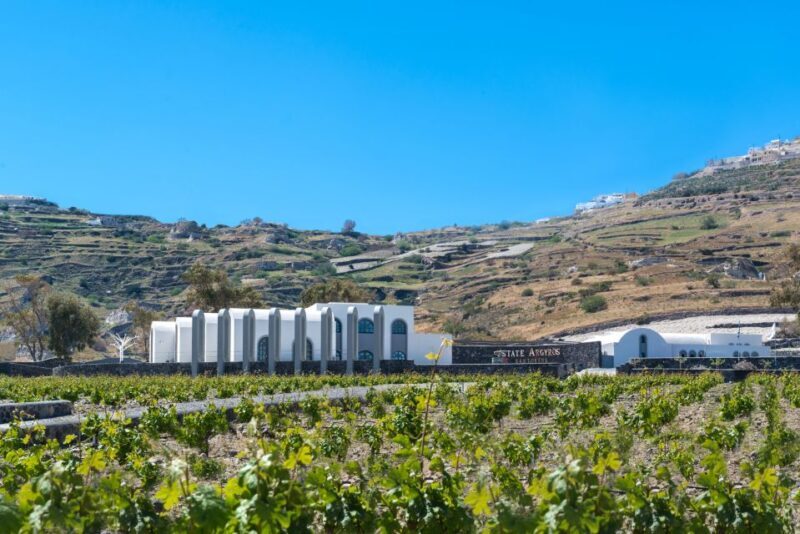Santorini: Guided Wineries Private Tour with Wine Tastings - Frequently Asked Questions