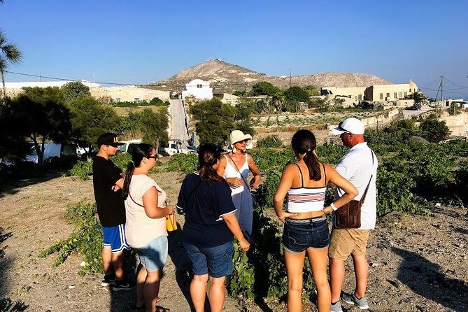 Santorini Half Day Wine Tasting & Winery Tour with Pickup - Final Thoughts