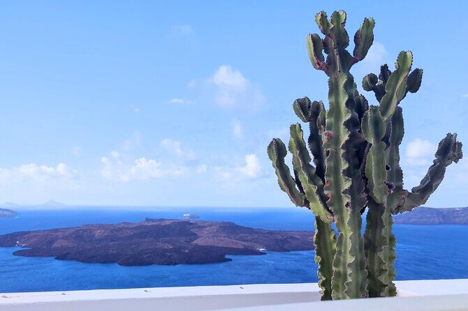 Santorini Panoramic Firostefani & Oia Blue Domes Private Tour - Who Will Appreciate This Tour?