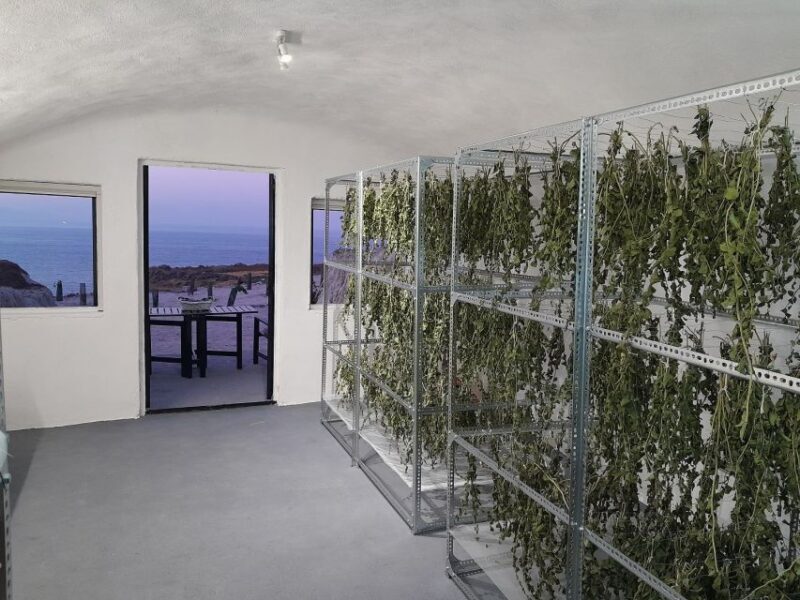 Santorini: Private Olive Oil tasting & Liqueur experience - The Sum Up: Why This Experience Is Worth Considering