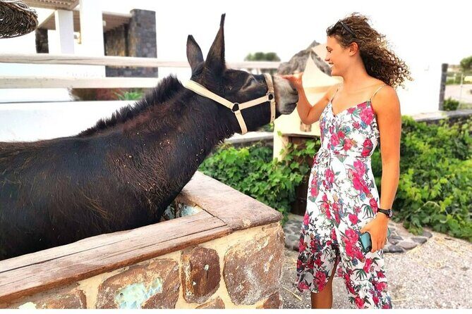 Santorini Private Tour 5hours Wine and local product tasting - The Sum Up: Is This Tour Right For You?