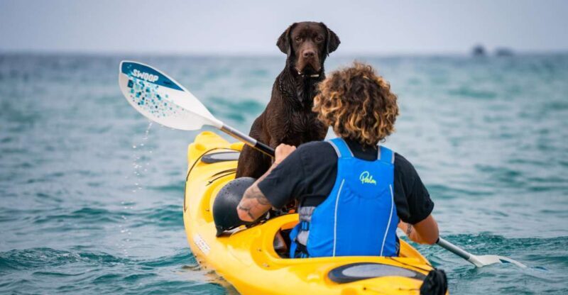 Santorini: Sea Caves Kayak Trip with Snorkeling and Picnic - Key Points