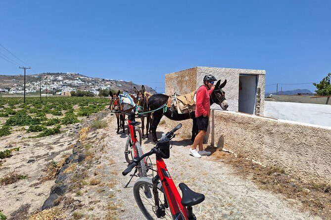 Santorini Small Group Guided E-bike Tour & Local Tomato Museum - Who Should Consider This Tour?