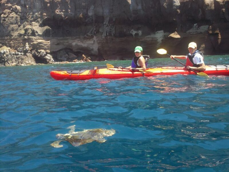 Santorini: South Sea Kayaking Tour with Sea Caves and Picnic - The Guides and Safety