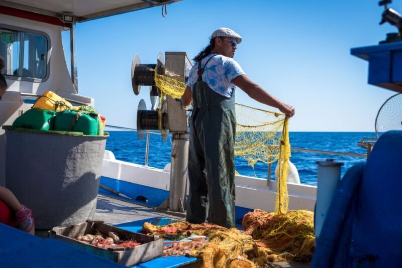 Santorini: Traditional Fishing Trip and Fresh Fish Lunch - The Experience From Past Guests’ Perspectives