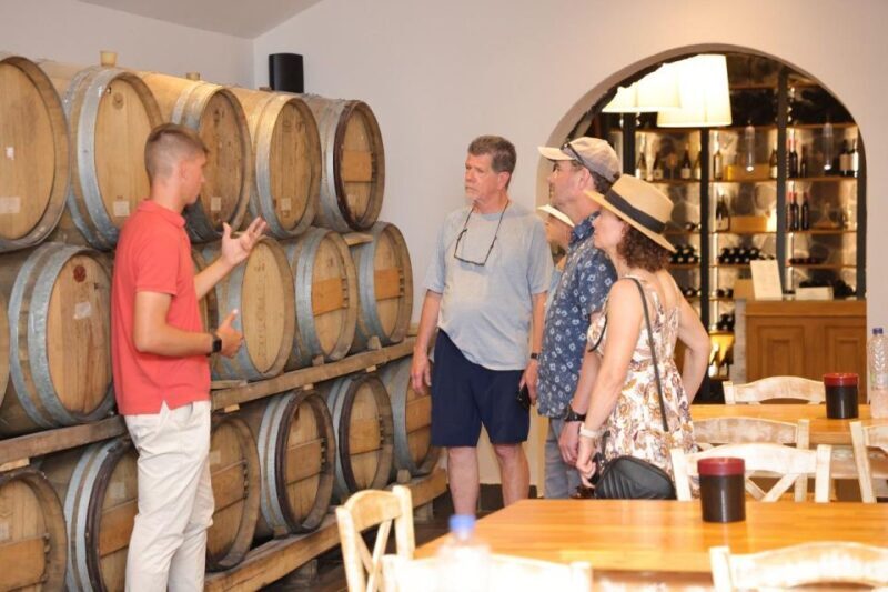 Santorini: Vineyard and Winery Tour with Cooking Class - Starting With the Vineyards