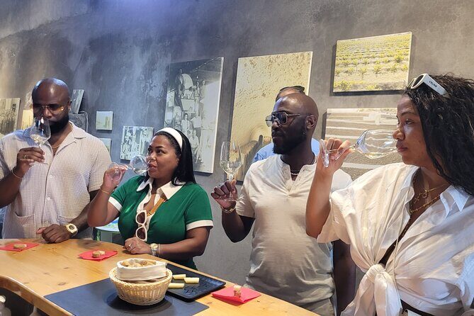 Santorini Volcanic Wine Tour  Private Tasting with Local Expert - Who Will Love This Tour?