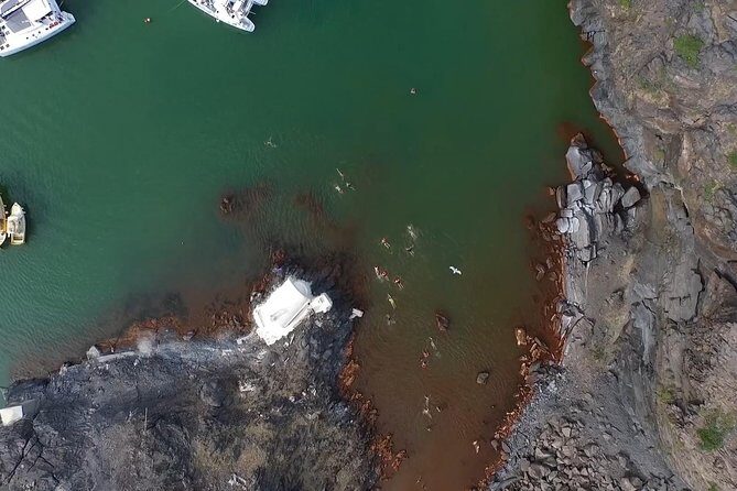 Santorini Volcano Sunset Cruise with Dinner - The Bottom Line: Who Is This Tour For?