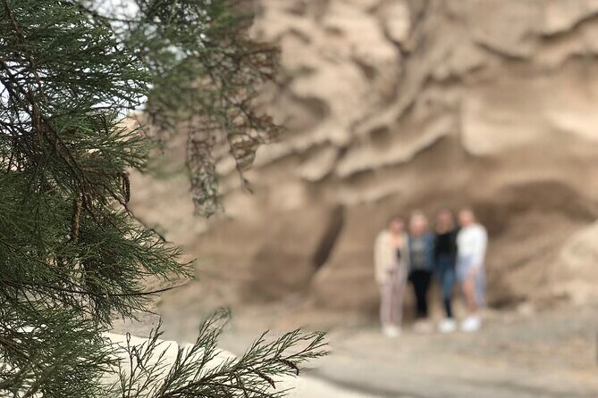 Santorini wine tasting and Traditional Cave Settlement Tour - A Closer Look at the Itinerary