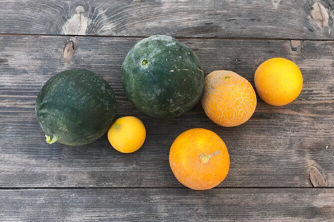 Santorini wine tasting and Traditional Cave Settlement Tour - Final Thoughts