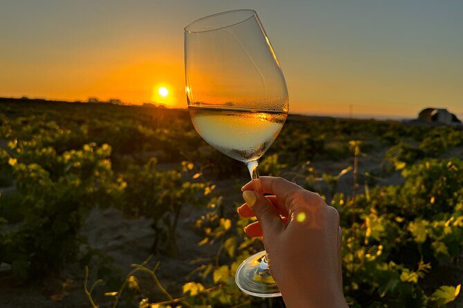 Santorini Wine Tour: 2 Wineries with Tastings & Local Snacks - Who Will Love This Tour?