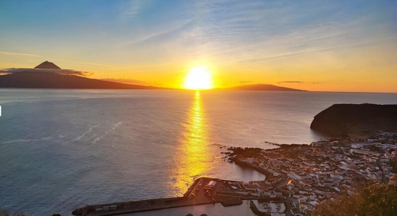 São Jorge: Island, Forest Reserve & Fajãs Guided Tour - Who Will Enjoy This Tour?