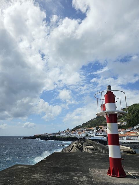 São Jorge: Island, Forest Reserve & Fajãs Guided Tour - Frequently Asked Questions