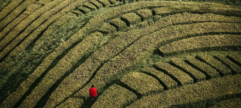 São Miguel: 2-Day Island Tour - East & West Highlights - Key Points