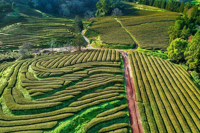 São Miguel 2-Day Tour: Furnas, Sete Cidades, Fogo & Nordeste - Final Thoughts